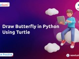 Draw Butterfly In Python Using Turtle Newtum