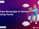 How To Draw A Rectangle In Python Using Turtle