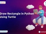 How To Draw A Rectangle In Python Using Turtle Newtum