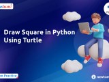Draw Square In Python Using Turtle Newtum