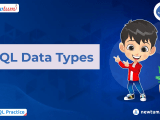 Sql Data Types Newtum