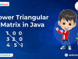 Lower Triangular Matrix In Java Newtum