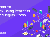 Redirect To Https Using Htaccess Behind Nginx Proxy