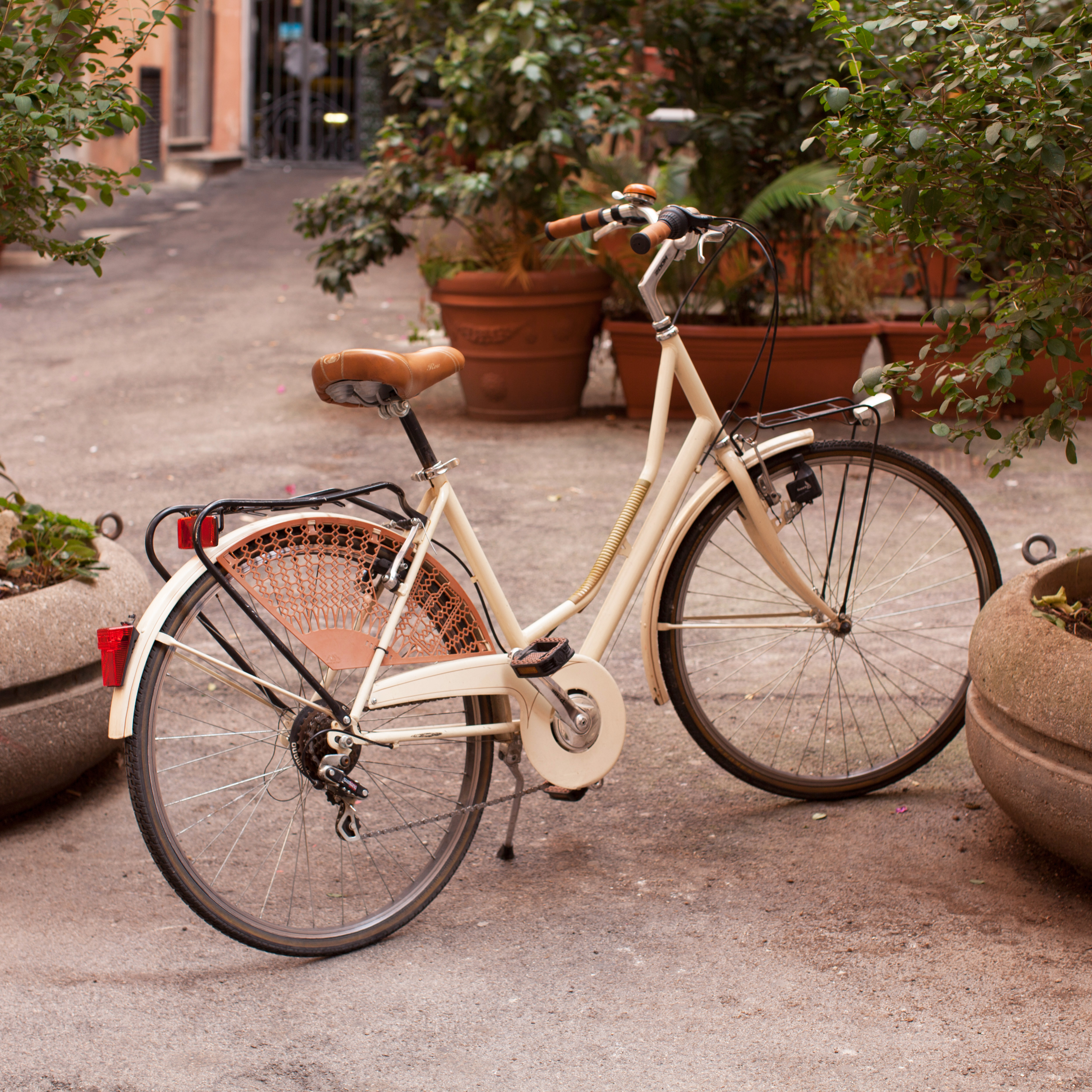 Bike Ride – Tea Collection Blog