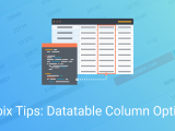 Webix Tips Datatable Column Options Webix Blog