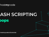 Using Loops In Bash Hostmycode