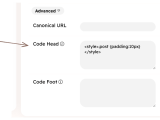 Custom Code Hyvor Blogs Docs