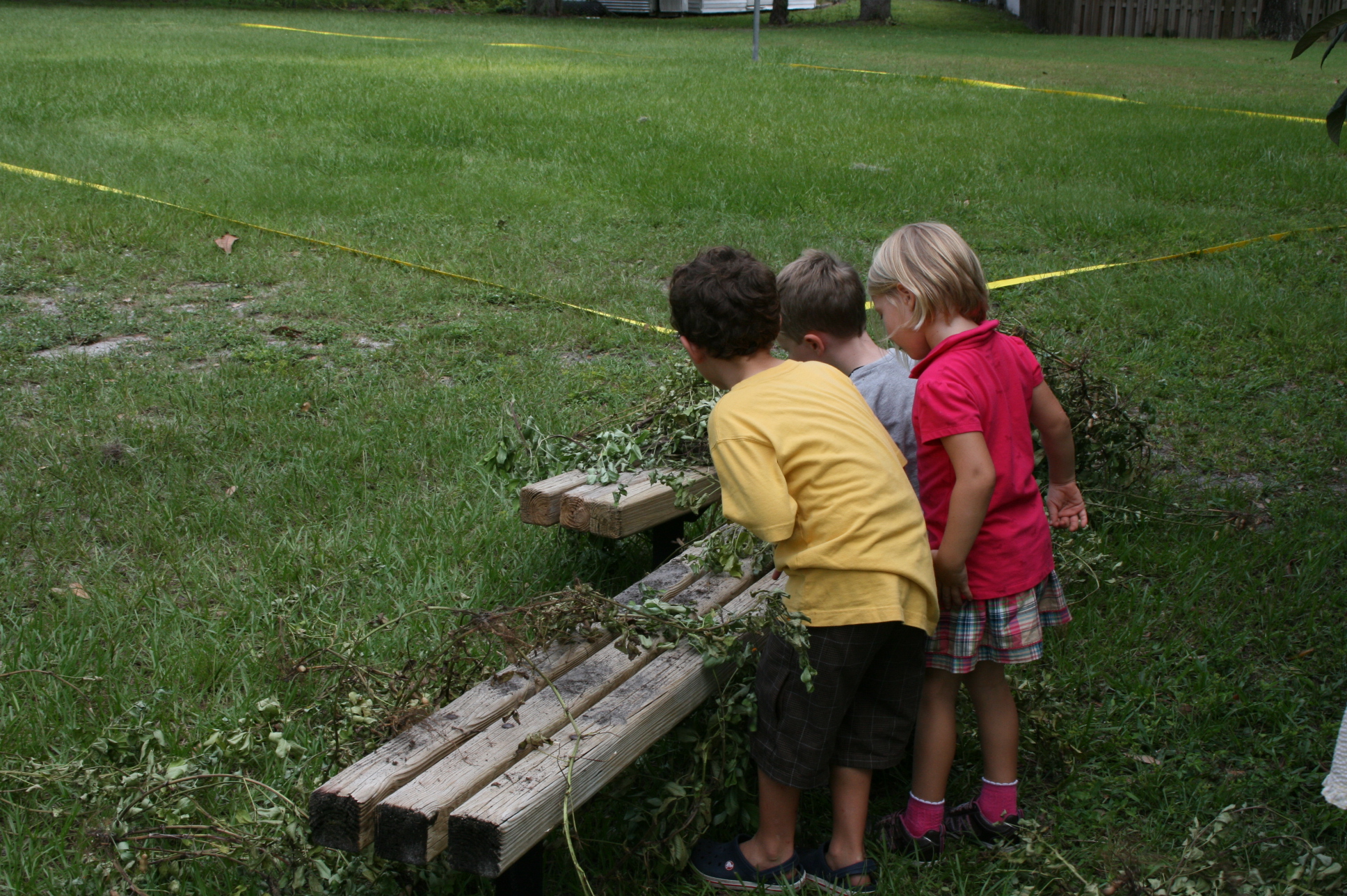 Planting Corn and Harvesting Peanuts - BloominThyme