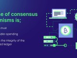 Blockchain Consensus Algorithm Our Guide Bloxbytes