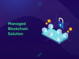 Managed Blockchain Solutions Our Comprehensive Guide