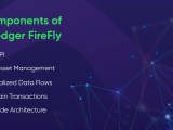 Firefly Hyperledger Your Gateway To Web3
