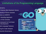 Go Programming Language Bloxbytes Mini Guide