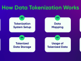 Steps And Strategies For Successful Data Tokenization