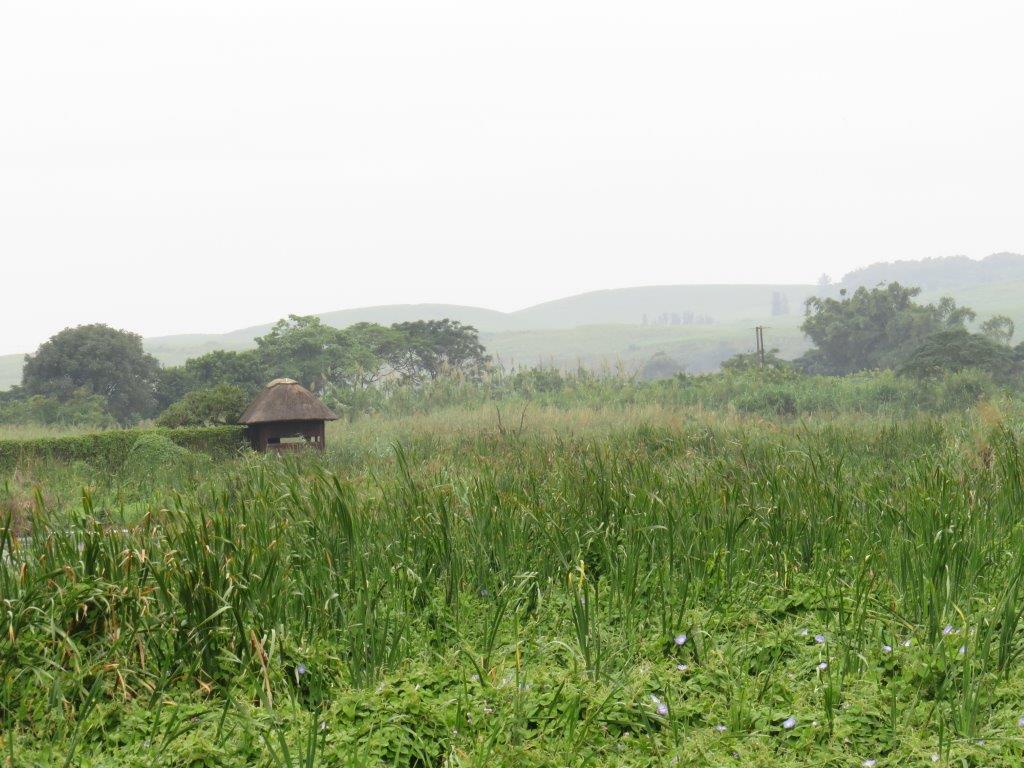 SAPPI Stanger Birdhide: 30th March 2014 – BirdLife eThekwini KZN