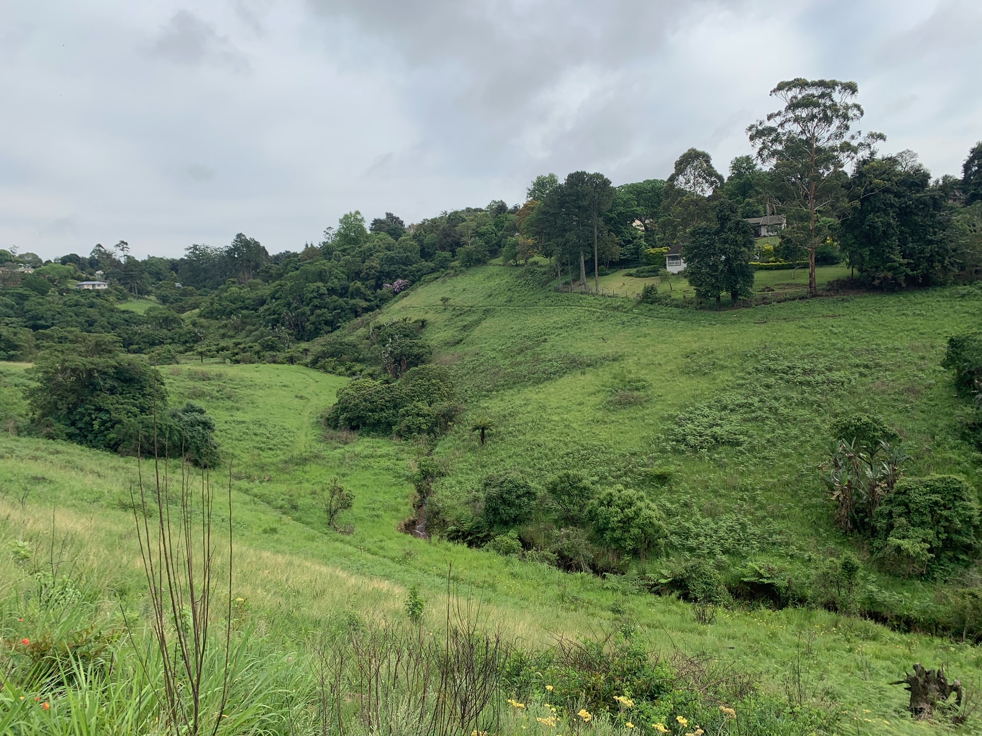 Springside Nature Reserve – BirdLife eThekwini KZN