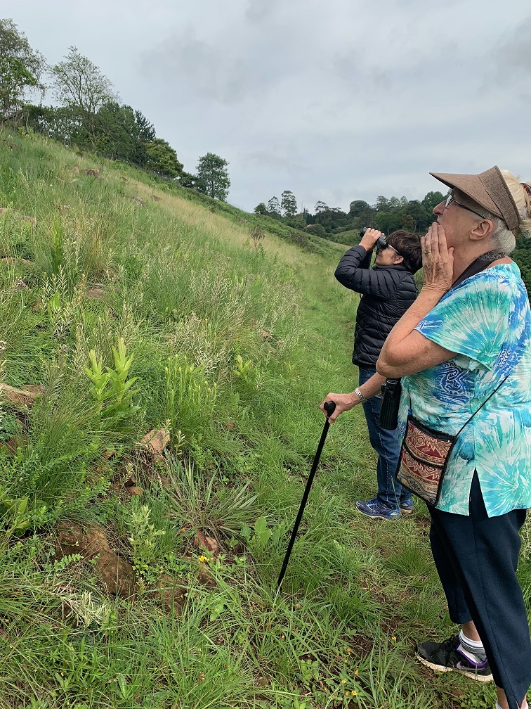 Springside Nature Reserve – BirdLife eThekwini KZN