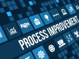 Process Improvement Methodologies Bluedragon