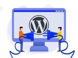 Wordpress Plugin Development Beginner S Level Bluegrid Io Bluegrid Io