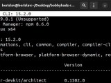 Angular Error Unknown Argument Prod When Running Ng Build Bobbyhadz
