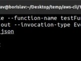 Invoke Lambda Functions With Aws Cli Complete Guide Bobbyhadz