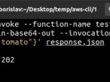 Invoke Lambda Functions With Aws Cli Complete Guide Bobbyhadz