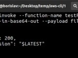 Invoke Lambda Functions With Aws Cli Complete Guide Bobbyhadz