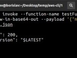 Invoke Lambda Functions With Aws Cli Complete Guide Bobbyhadz