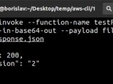 Invoke Lambda Functions With Aws Cli Complete Guide Bobbyhadz