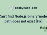 Can T Find Node Js Binary Node Path Does Not Exist Fix Bobbyhadz