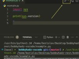 Vs Code Change Python Version Select Correct Interpreter Bobbyhadz