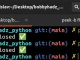 Python Tkinter Windows Close