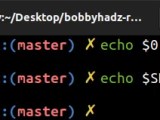 Code Command Not Found Visual Studio Code Error Solved Bobbyhadz