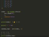 Get N Random Rows From A Numpy Array In Python Bobbyhadz