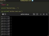 How To Restart A Python Script 6 Simple Ways Bobbyhadz