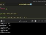 How To Restart A Python Script 6 Simple Ways Bobbyhadz
