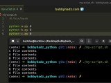 Run Multiple Python Files Concurrently One After The Other Bobbyhadz