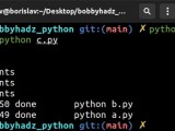 Run Multiple Python Files Concurrently One After The Other Bobbyhadz