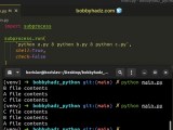 Run Multiple Python Files Concurrently One After The Other Bobbyhadz
