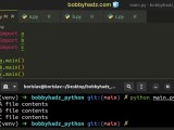 Run Multiple Python Files Concurrently One After The Other Bobbyhadz