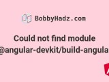 Could Not Find Module Angular Devkit Build Angular Bobbyhadz