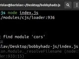 Cannot Find Module Express Or Cors Error In Node Js Bobbyhadz
