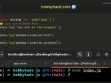 Referenceerror Window Is Not Defined In Javascript Solved Bobbyhadz
