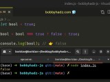 How To Toggle A Boolean In Javascript Bobbyhadz