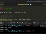 Oserror Errno 8 Exec Format Error In Python Solved Bobbyhadz