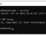 Php Is Not Recognized As An Internal Or External Command Bobbyhadz