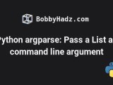 Python Argparse Pass A List As Command Line Argument Bobbyhadz