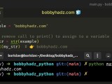 How To Assign Print Output To A Variable In Python Bobbyhadz