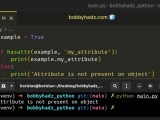 Attributeerror Bool Object Has No Attribute X In Python Bobbyhadz