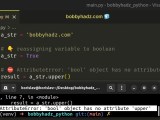 Attributeerror Bool Object Has No Attribute X In Python Bobbyhadz