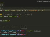 Attributeerror Enter Exception In Python Solved Bobbyhadz